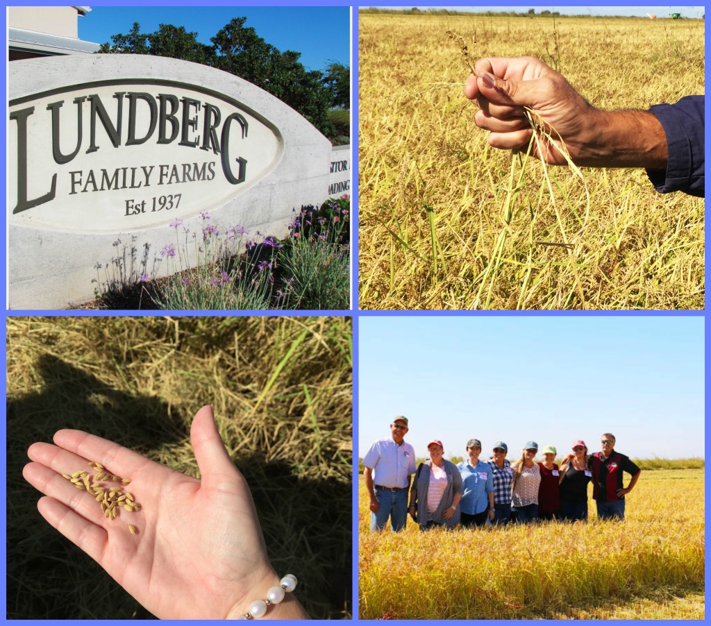 A Trip to Lundberg Family Farms in NorCal During their Rice Harvest ...