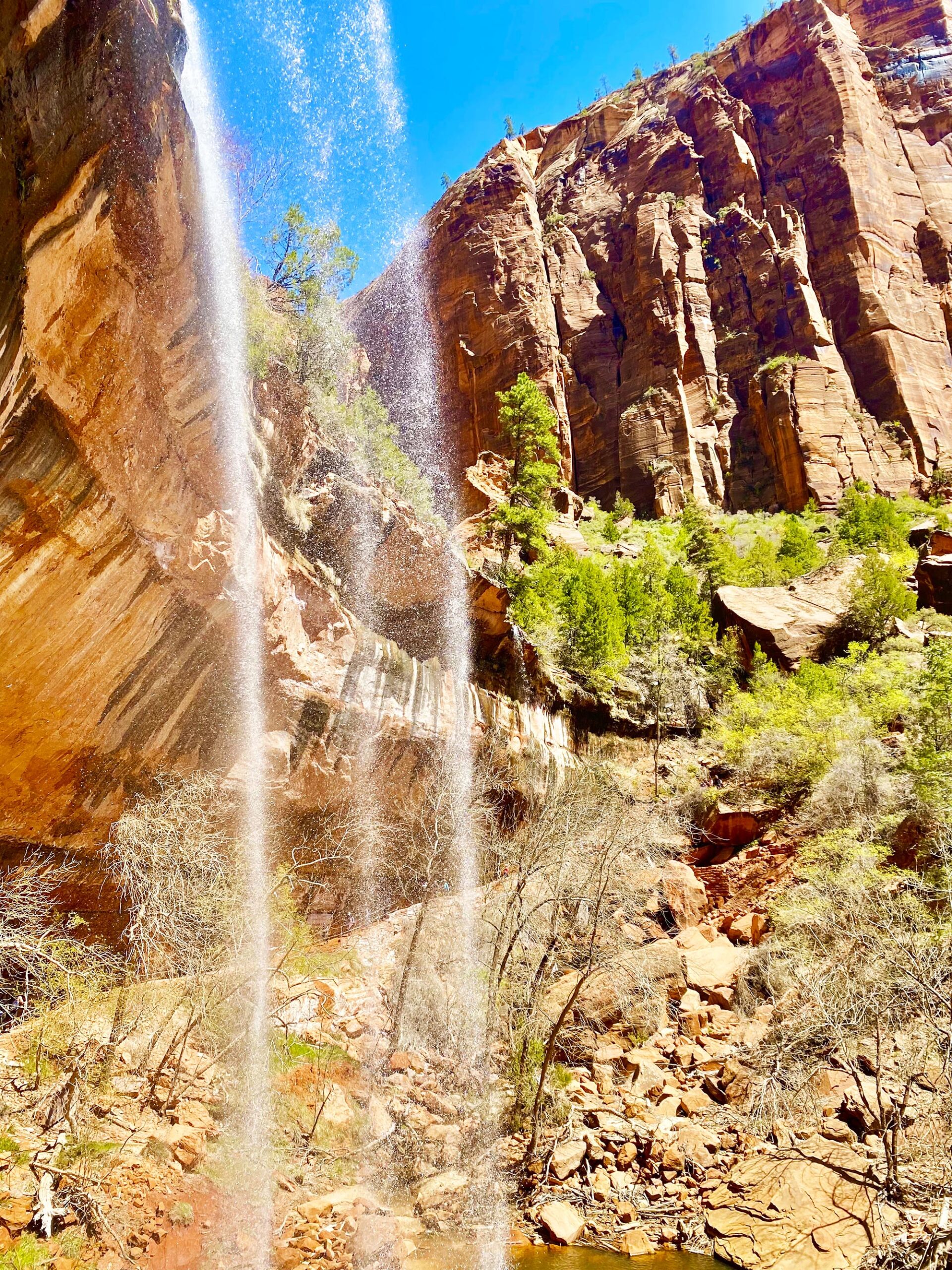 5 Fun Family-Friendly Hikes Near Zion National Park • Foodie Loves Fitness